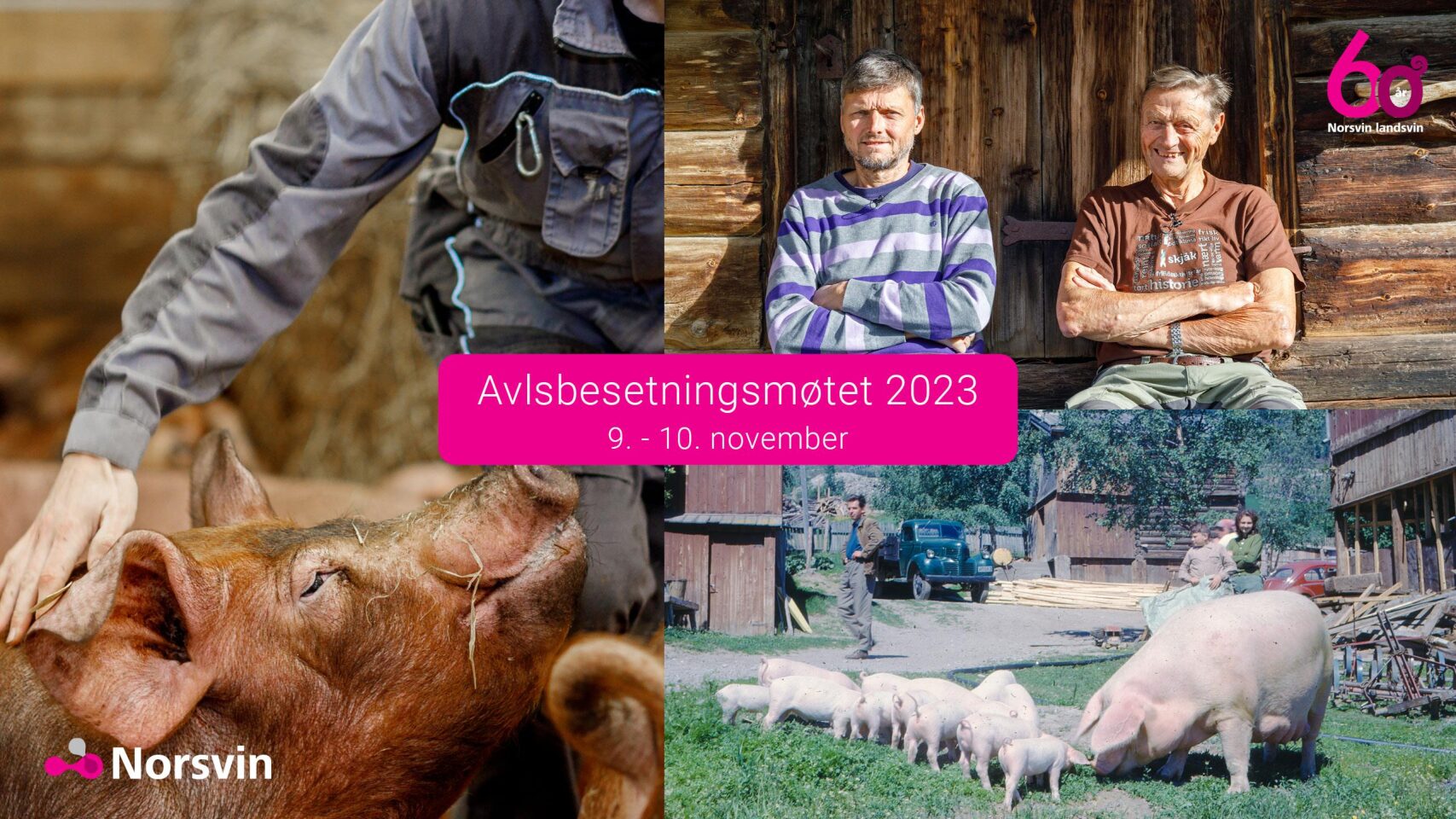 Delta 2024 Karteru_Øibakken_Nordbye_Bogevik_Olsen - Norsvin